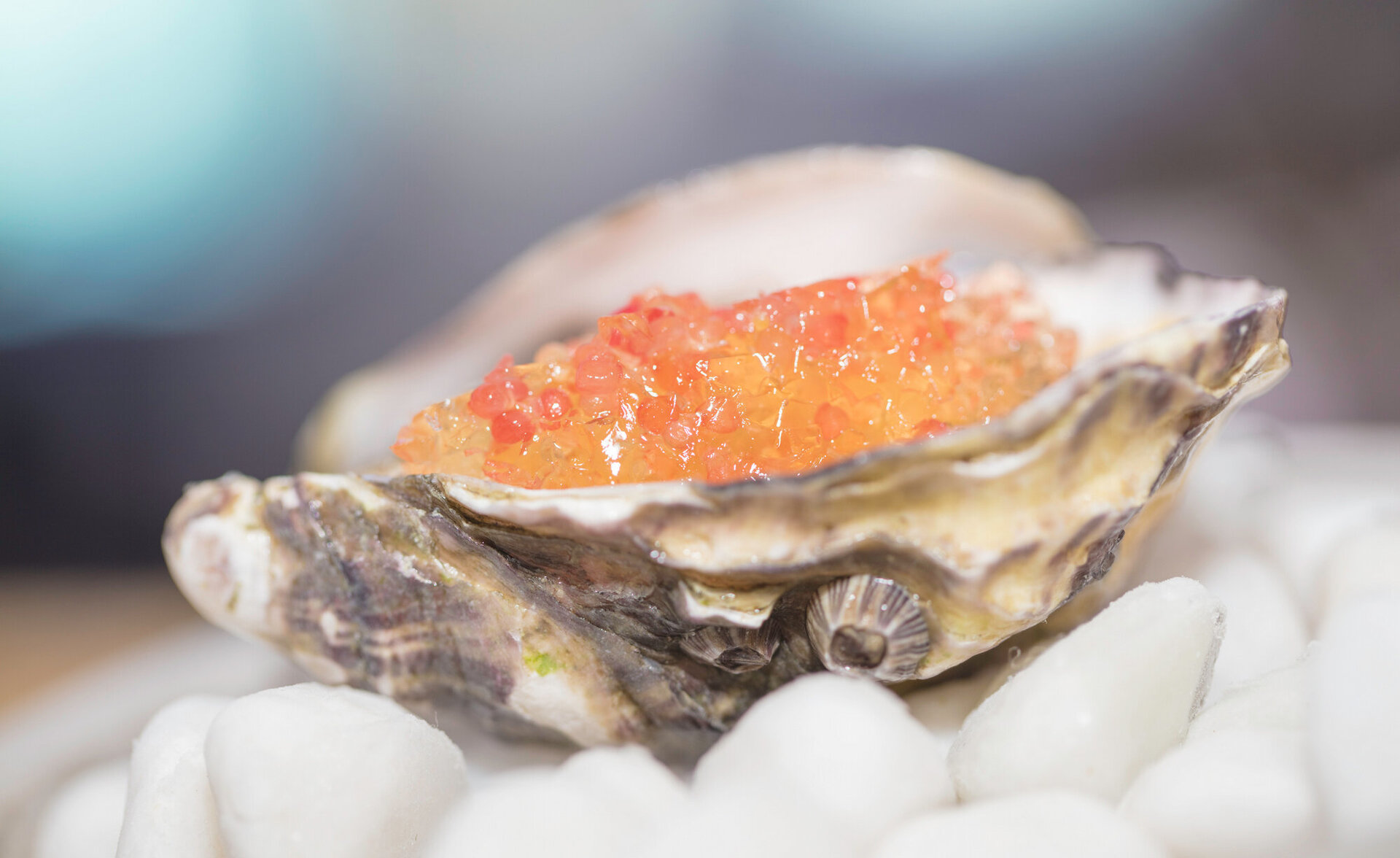 Our Food | Harrisons Restaurant